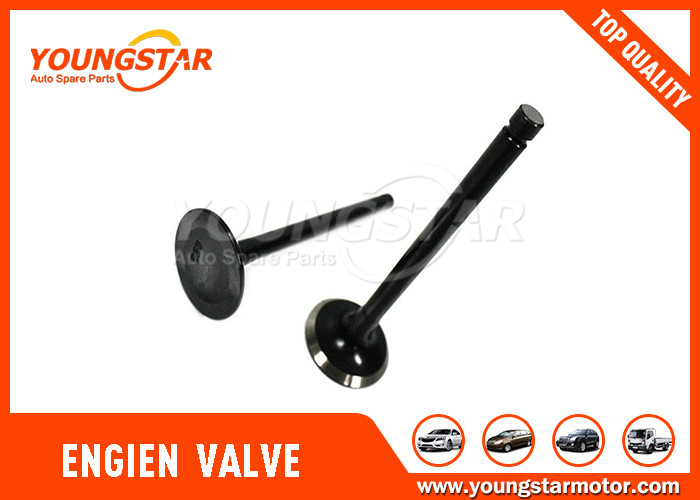Válvulas de motor de coche de G4HC para Hyundai Atos 1,0/12V 999c.c ...